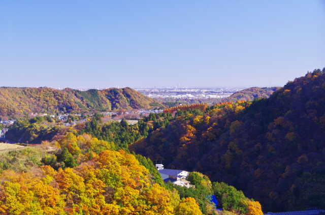 秋彩遠望 by おおねここねこ （ID：1549978） - 写真共有サイト:PHOTOHITO