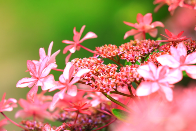 元気な女性 by ☆takky☆ （ID：11817970） - 写真共有サイト:PHOTOHITO