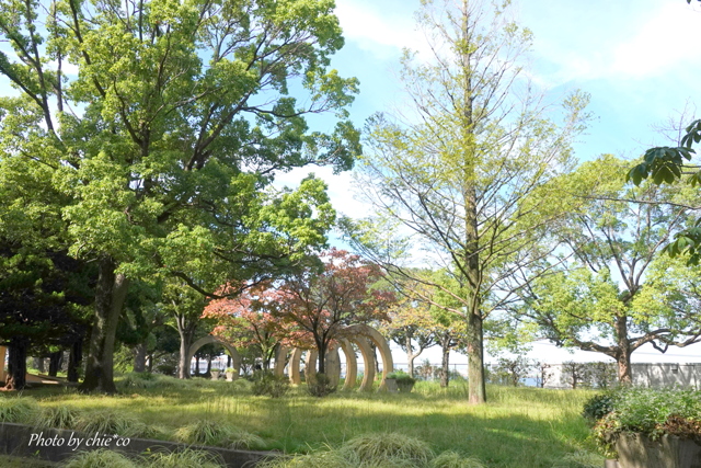 山下公園-062 by chie*co (ID:12651034) - 写真共有サイト:PHOTOHITO 山下公園-062 by chie*co (ID:12651034) - 写真共有サイト:PHOTOHITO