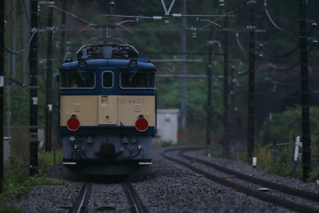E493系+EF64 37 by グノ夫 （ID：10388662） - 写真共有サイト:PHOTOHITO