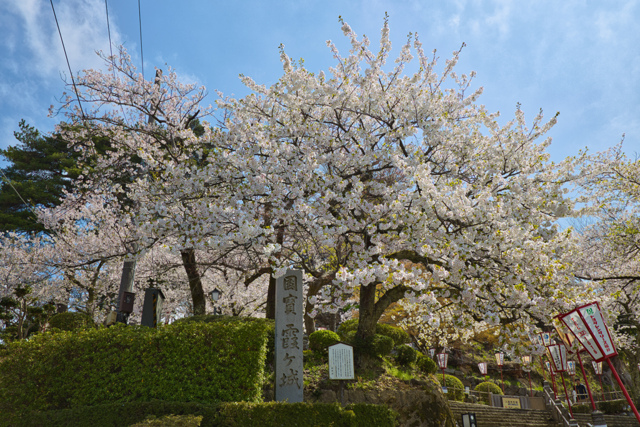 国寶 霞ヶ城 by e.noah （ID：12925892） - 写真共有サイト:PHOTOHITO