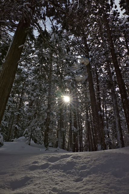 差し込む by e.noah （ID：12846187） - 写真共有サイト:PHOTOHITO