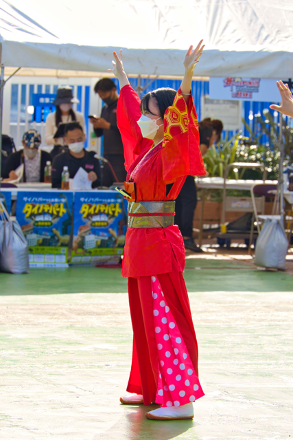 わをん。 by e.noah （ID：11383068） - 写真共有サイト:PHOTOHITO