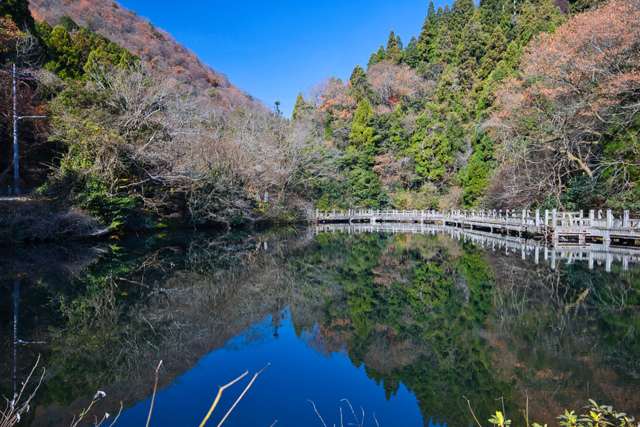 もみじ池 by e.noah （ID：12147810） - 写真共有サイト:PHOTOHITO