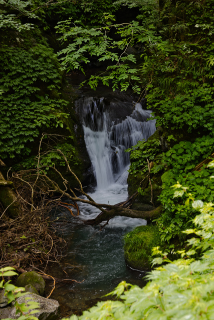 稗田川 by e.noah （ID：13090269） - 写真共有サイト:PHOTOHITO