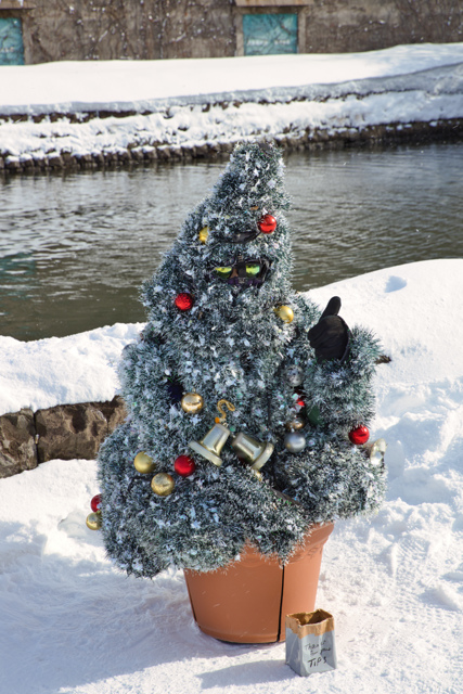 ツリーマン by e.noah （ID：12835777） - 写真共有サイト:PHOTOHITO