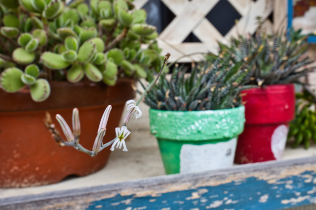 十二の巻 by e.noah （ID：12510506） - 写真共有サイト:PHOTOHITO