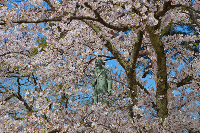 つつまれて by e.noah （ID：12923584） - 写真共有サイト:PHOTOHITO