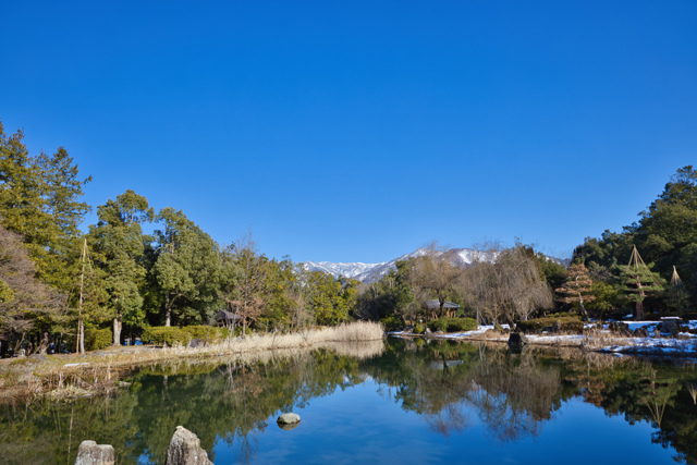 初春のような by e.noah （ID：12808872） - 写真共有サイト:PHOTOHITO