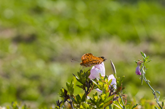 スタンバイ by e.noah （ID：13069925） - 写真共有サイト:PHOTOHITO