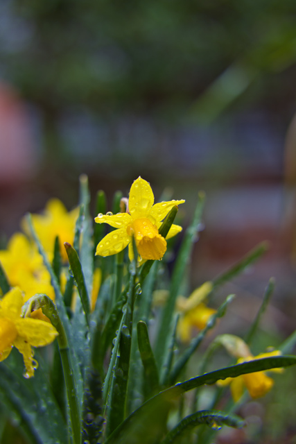 主役はわたし No.3 by e.noah （ID：12900661） - 写真共有サイト:PHOTOHITO