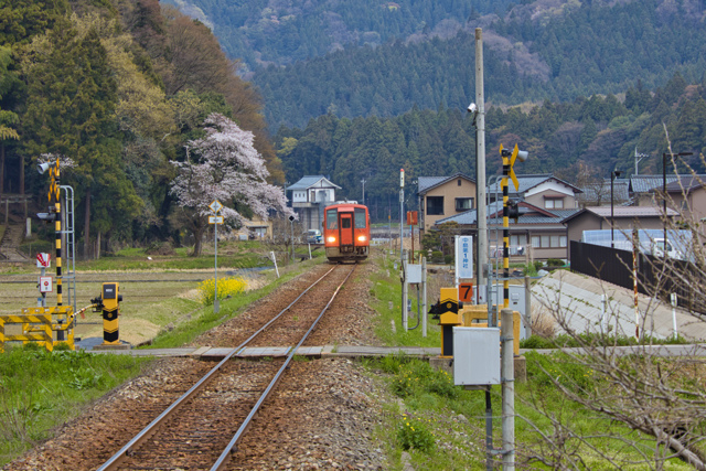 来る by e.noah （ID：12355618） - 写真共有サイト:PHOTOHITO