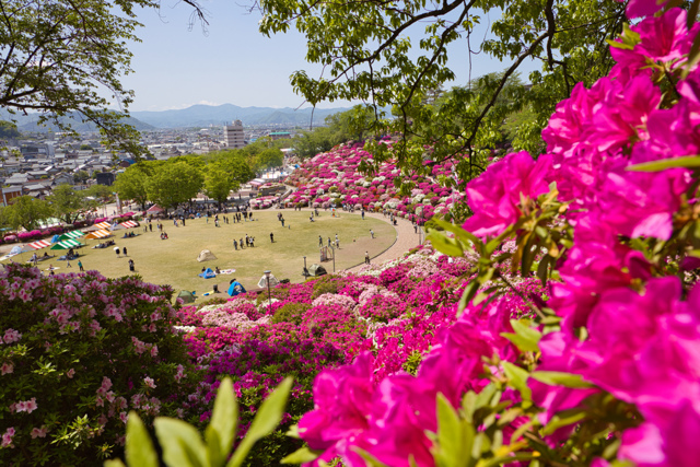 賑わい by e.noah （ID：12990443） - 写真共有サイト:PHOTOHITO