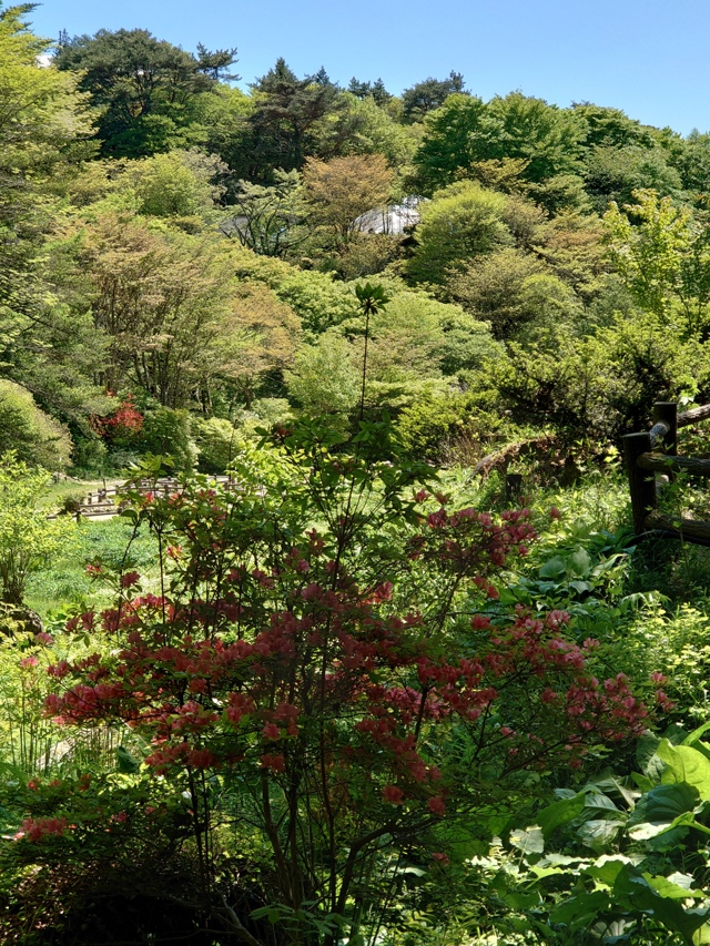 DSC_6930 by “すぎちゃん” （ID：12406028） - 写真共有サイト:PHOTOHITO