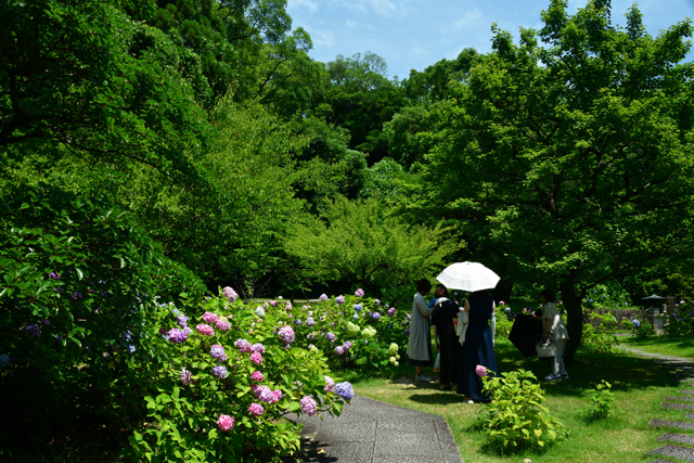 250629智積院16 by symrioz （ID：13057687） - 写真共有サイト:PHOTOHITO