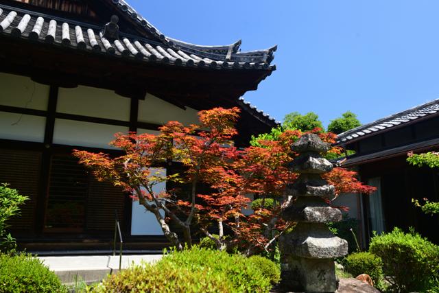 240614恵心院20 by symrioz （ID：12482296） - 写真共有サイト:PHOTOHITO