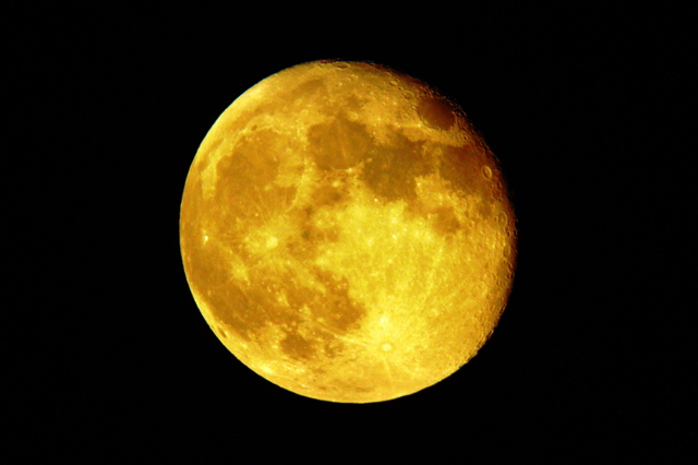 2013 Gold Moon by misochiy （ID：2788520） - 写真共有サイト:PHOTOHITO