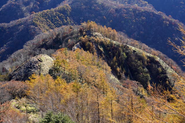 カラマツ染まる尾根 by yasube （ID：11405527） - 写真共有サイト:PHOTOHITO