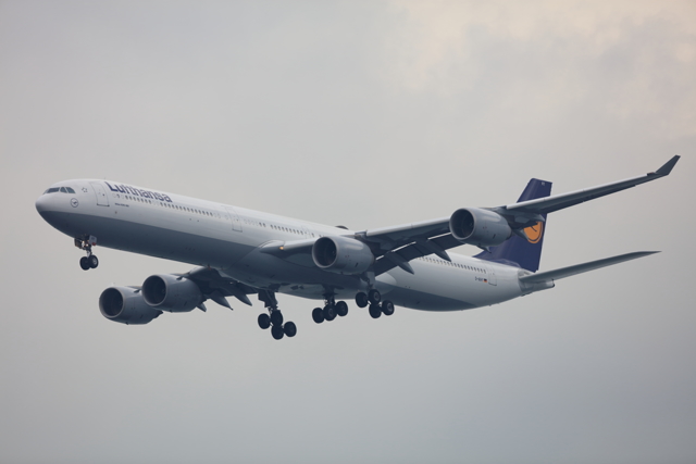 2017_12_2411_08_06EOS 5DS R2453 by Mitchiee#38 （ID：7499111） - 写真共有サイト ...