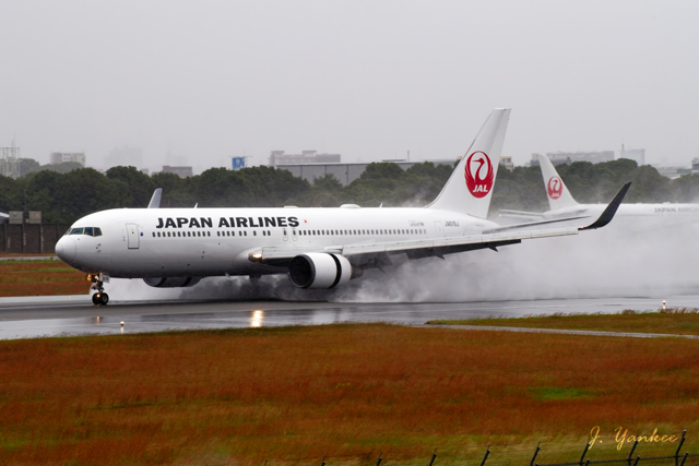 JAL x JAL by J.Yankee （ID：12686609） - 写真共有サイト:PHOTOHITO