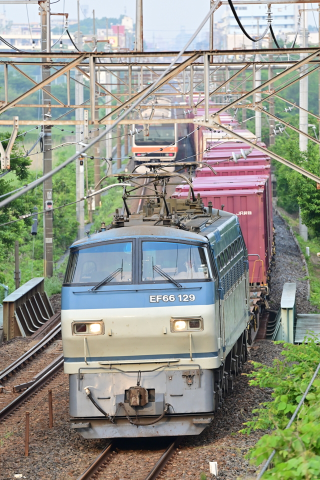 EF66-129 2066レ by chikao-san （ID：11118782） - 写真共有サイト:PHOTOHITO