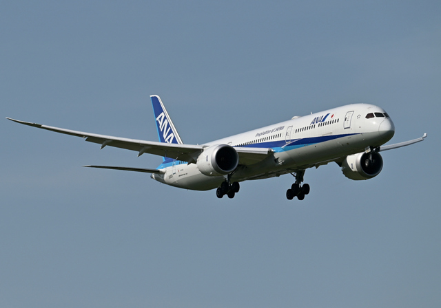 ANA B787-10 by HP?? （ID：11768568） - 写真共有サイト:PHOTOHITO