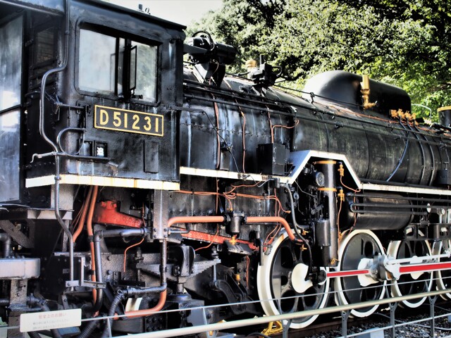 D51 (2) by いち817 （ID：11445842） - 写真共有サイト:PHOTOHITO