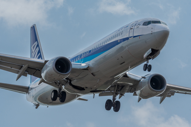 ANA 6.25 by nao1972 （ID：12488253） - 写真共有サイト:PHOTOHITO