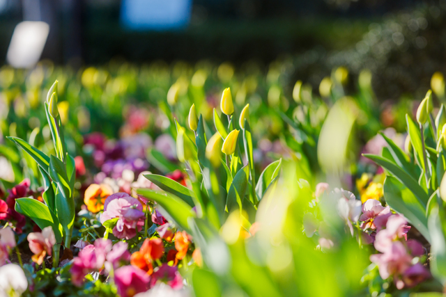 アンデルセン公園にて by 寅吉 （ID：12756409） - 写真共有サイト:PHOTOHITO