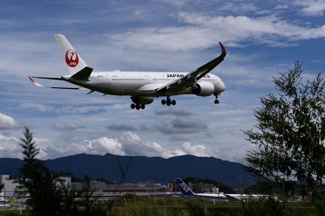 JAL 1285 by 7xxxsss （ID：12622630） - 写真共有サイト:PHOTOHITO