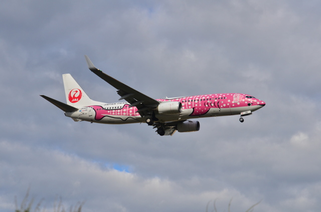 JAL 367 by 7xxxsss （ID：10750485） - 写真共有サイト:PHOTOHITO