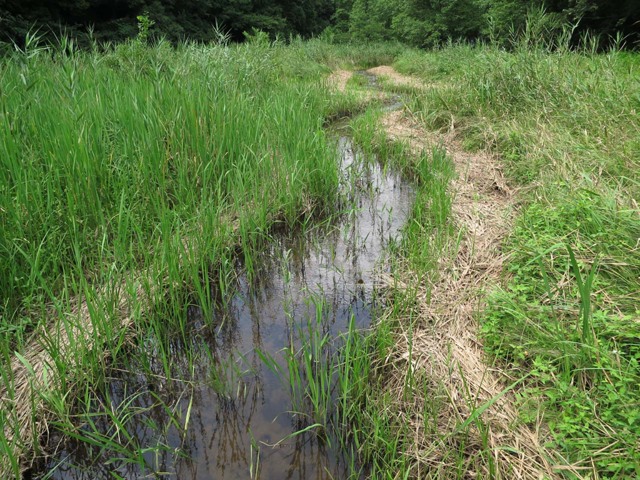 IMG_0281 by apoint （ID：3590719） - 写真共有サイト:PHOTOHITO