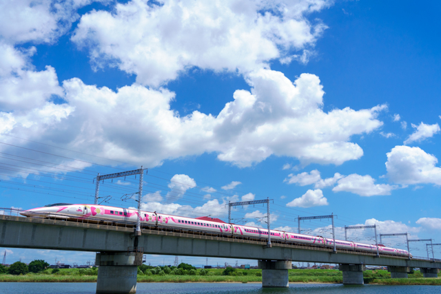 夏空渡る500系 by 御竈 （ID：12569601） - 写真共有サイト:PHOTOHITO