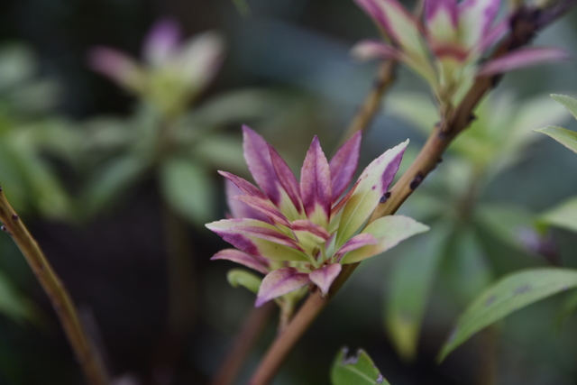 DSC_0565_2 by Oh,yeah （ID：11814754） - 写真共有サイト:PHOTOHITO