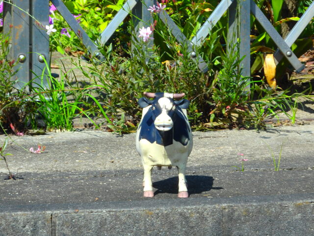 うっしっし by mathilda （ID：10213413） - 写真共有サイト:PHOTOHITO