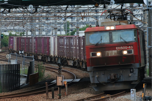 2022/08/28 8069 EH500-43 by TK5351 （ID：11284790） - 写真共有サイト:PHOTOHITO