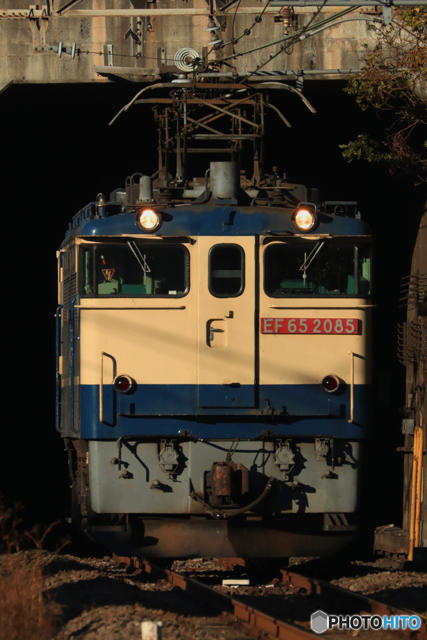 2024/12/15 単9488 EF65-2085 by TK5351 （ID：12746923） - 写真共有サイト:PHOTOHITO