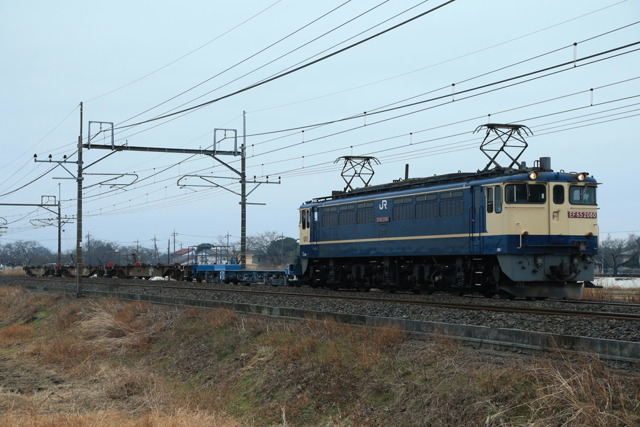 2023/01/14 配8593 EF65-2080 by TK5351 （ID：11541718） - 写真共有サイト:PHOTOHITO
