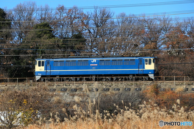 2023/12/17 単9467 EF65-2066 by TK5351 （ID：12153117） - 写真共有サイト:PHOTOHITO