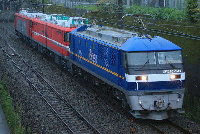 2022/08/04 単8282 EF210-341 by TK5351 （ID：11245160） - 写真共有サイト:PHOTOHITO