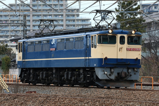 2022/01/23 単9468 EF65-2068 by TK5351 （ID：10882756） - 写真共有サイト:PHOTOHITO
