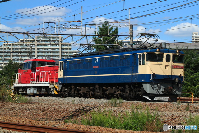 2024/09/26 単8676 EF65-2085+HD300-31 by TK5351 （ID：12641911） - 写真共有サイト:PHOTOHITO