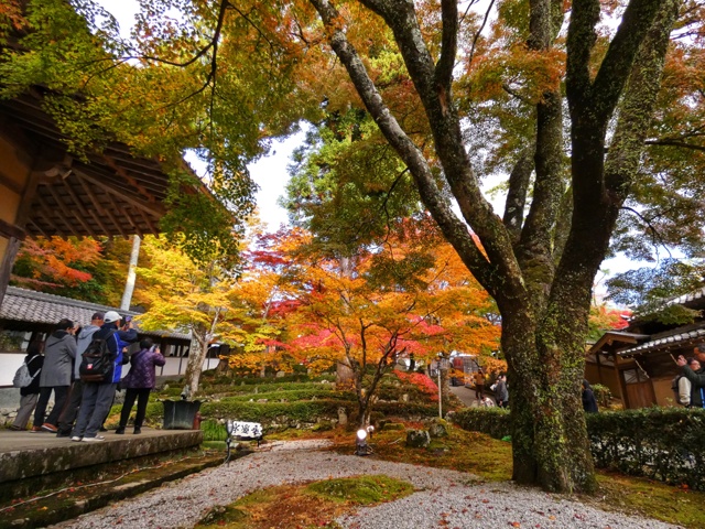 永源寺 by 野良なお （ID：12790627） - 写真共有サイト:PHOTOHITO