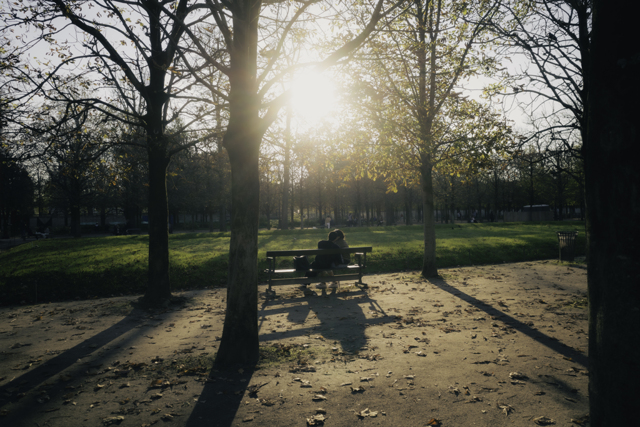 秋の公園で by カツオ78100 （ID：12669181） - 写真共有サイト:PHOTOHITO