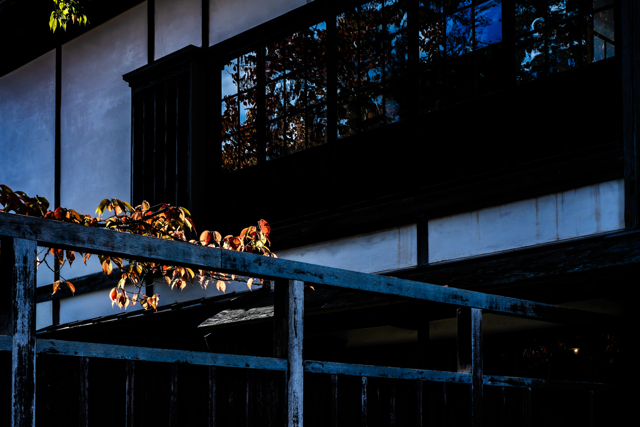 紅葉 by Qitan （ID：12625732） - 写真共有サイト:PHOTOHITO