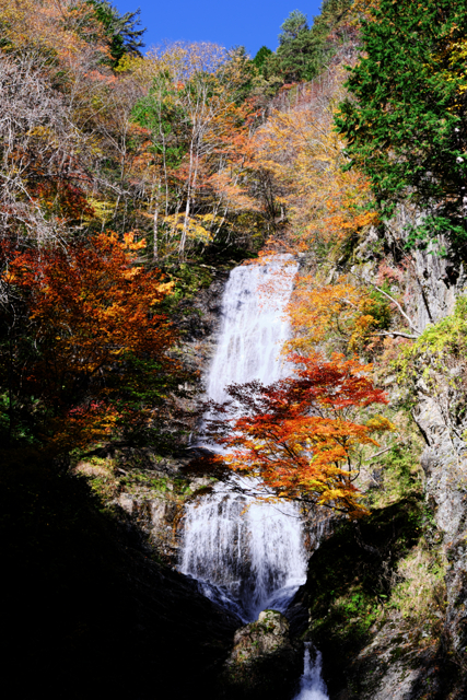 木曽町唐沢の滝・紅葉撮影＃2 by jacksan （ID：12690440） - 写真共有サイト:PHOTOHITO