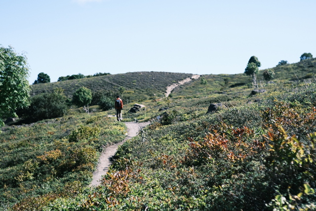 R5.09.24_夫婦登山_樽前山⑫ by 塔子 （ID：12024821） - 写真共有サイト:PHOTOHITO