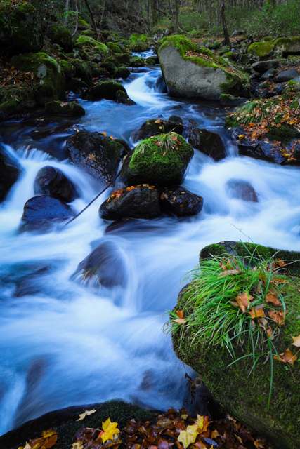 初秋2 by tomiya （ID：12688925） - 写真共有サイト:PHOTOHITO