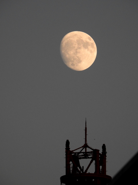 タワーの上の月齢12.7 by NEBUKO （ID：12566368） - 写真共有サイト:PHOTOHITO