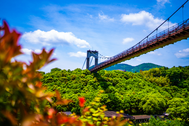 快晴！！ by 聖太のパパ0526 （ID：11806523） - 写真共有サイト:PHOTOHITO